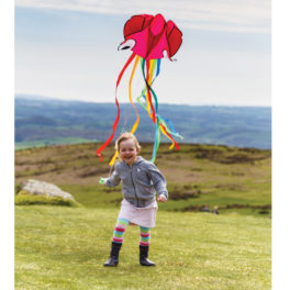 Mini Pocket Kite | House of Marbles US
