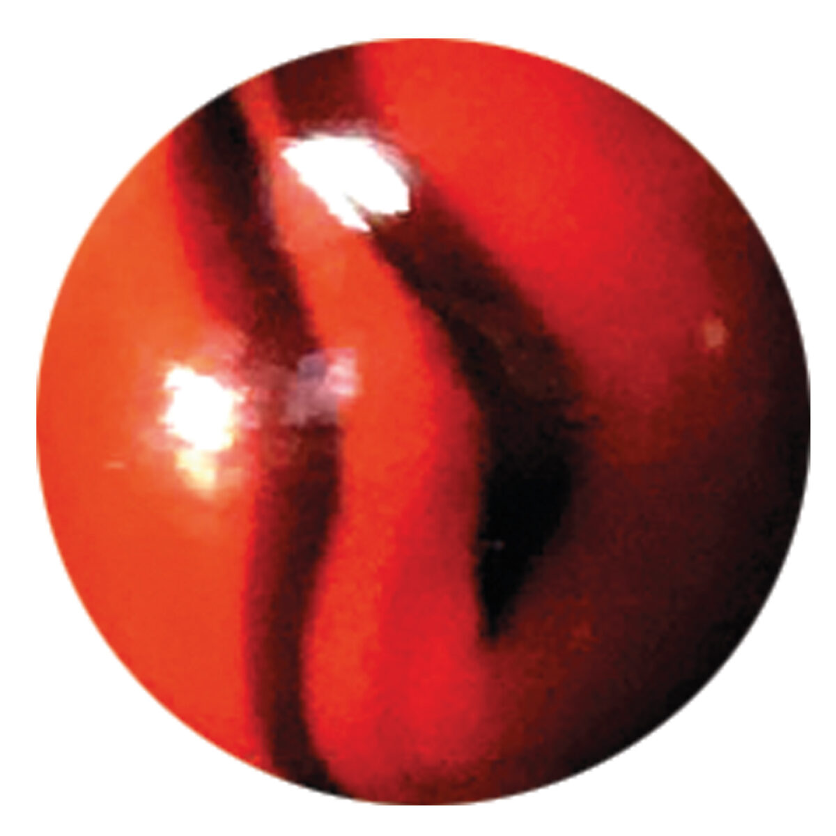 Ladybug Marble - House of Marbles US